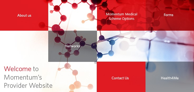 Momentum Provider - Home